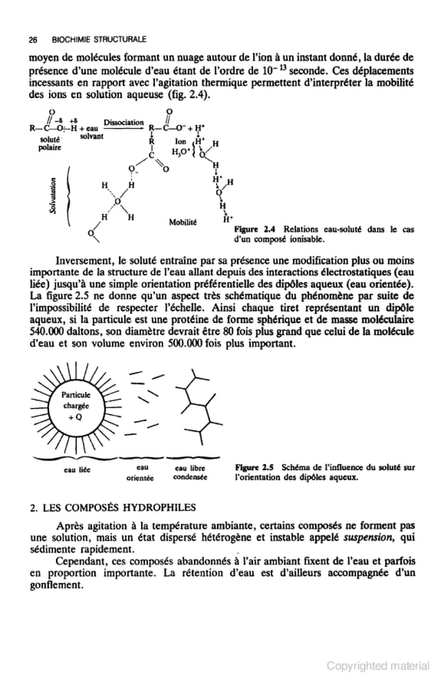 Biochimie structurale | PDF