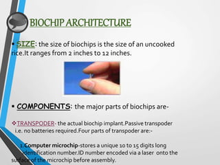 Biochip | PPTX