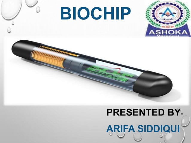 BIOCHIP | PPT