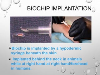 BIOCHIP | PPT