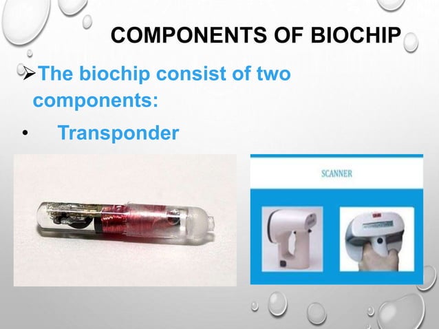 BIOCHIP | PPT