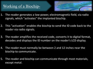 Biochip - Life on a Chip | PPT