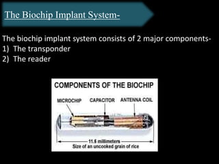 Biochip - Life on a Chip | PPT