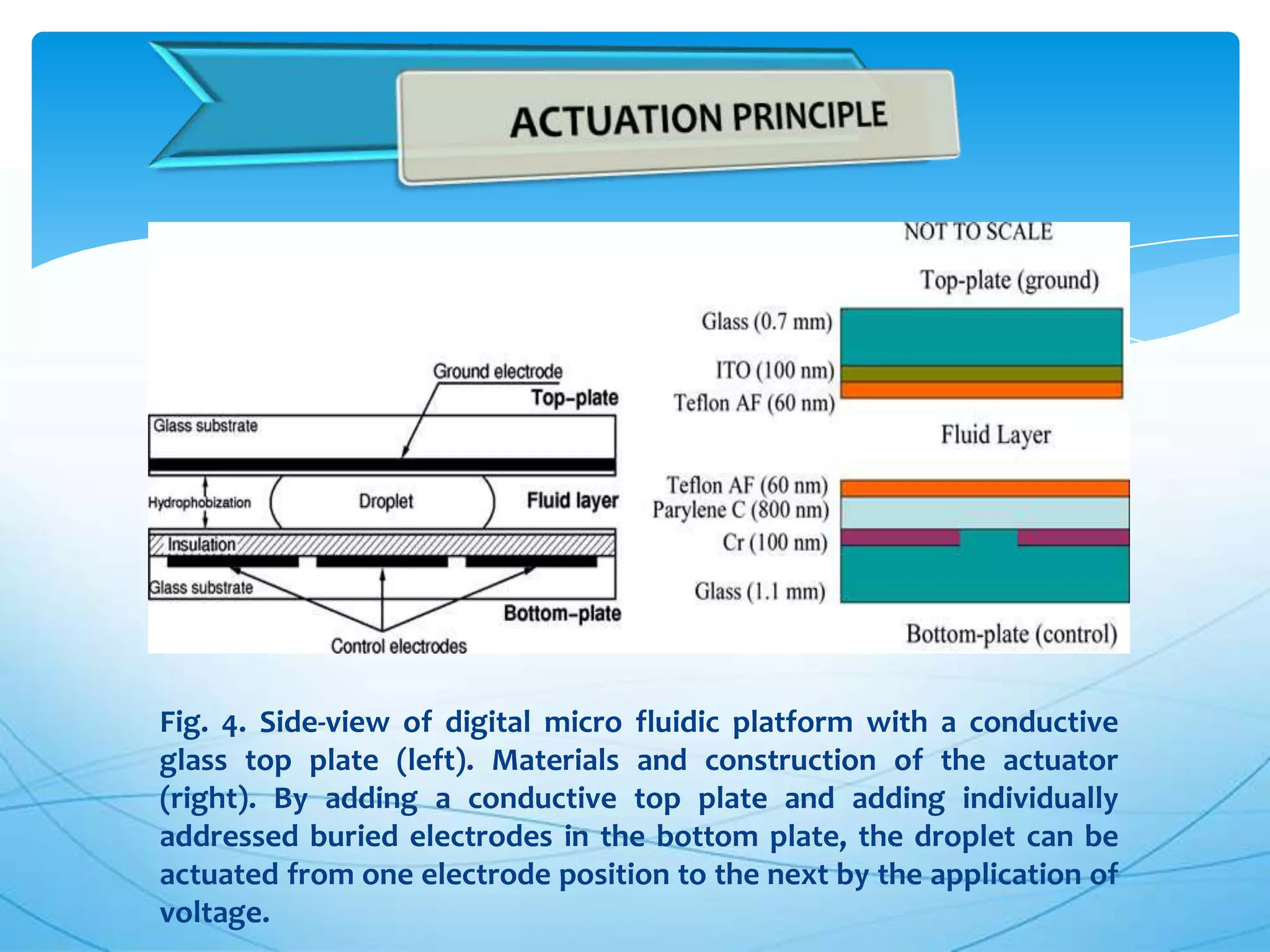 Biochip | PPTX