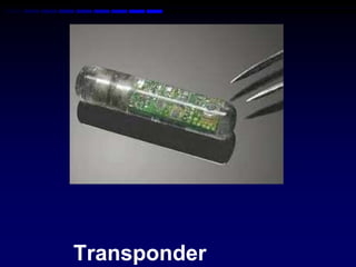 Biochip and its application | PPTX