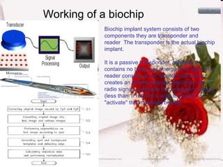Biochip ppt | PPT