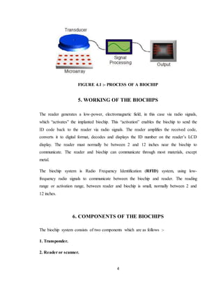 Biochip report | PDF