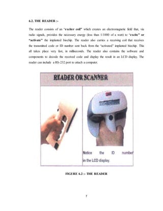 Biochip report | PDF