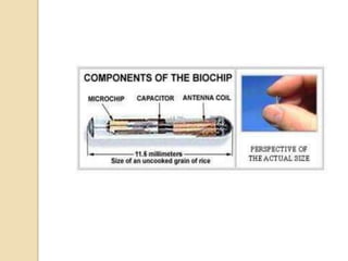 Biochips | PPTX
