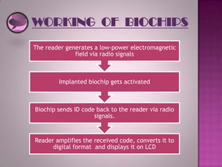 Biochips | PPTX