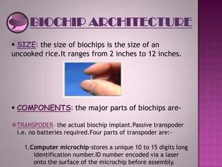 Biochips | PPTX