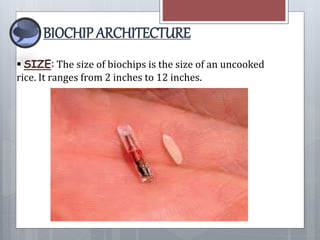 Biochips. | PPTX