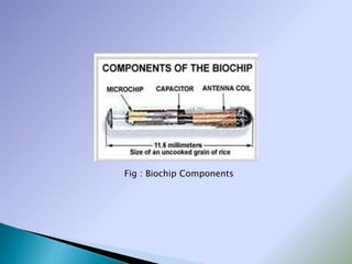 Biochips | PPT