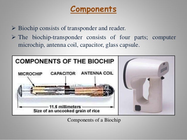 Biochips