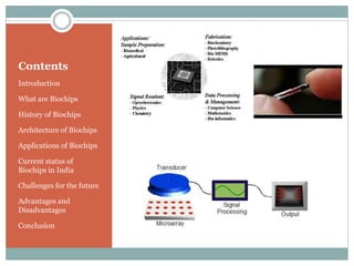 Bio-chips(A technology for the future) | PPTX | Chemistry | Science