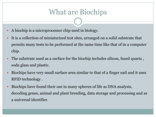 Bio-chips(A technology for the future) | PPTX | Chemistry | Science