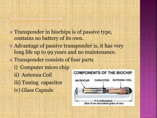biochips.ppt