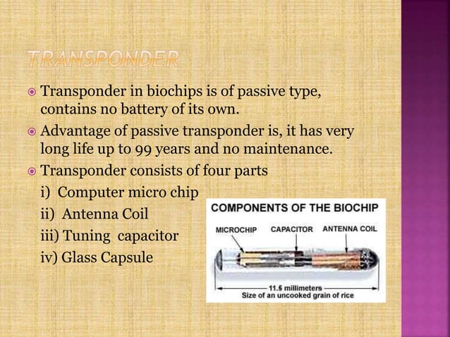 biochips.ppt | Free Download