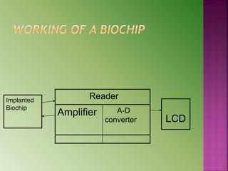 biochips.ppt