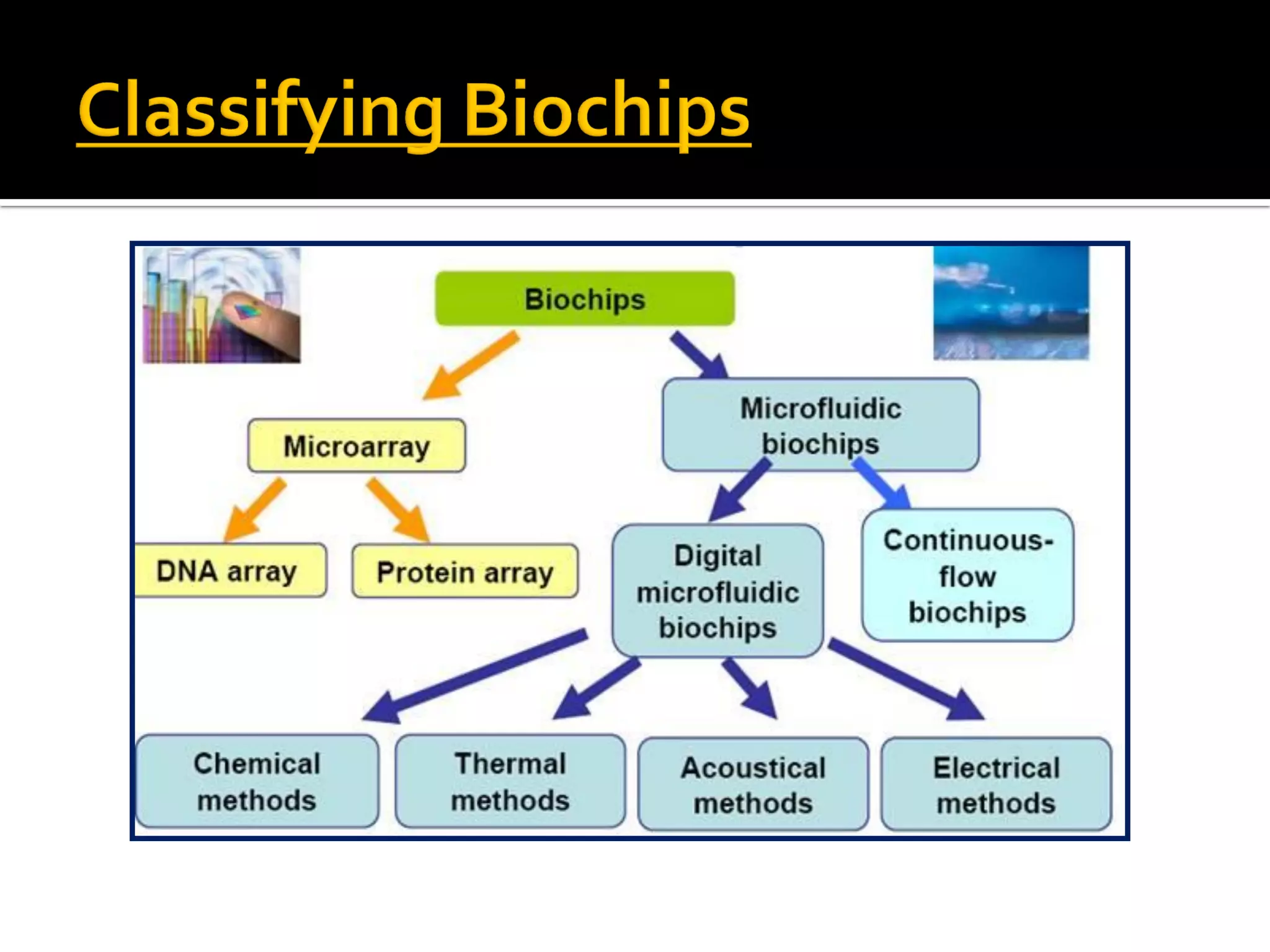 Biochips: Biosensor | PDF