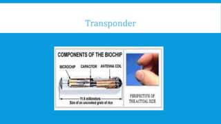 Bio—chip ] sensor | PPT