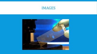 Bio—chip ] sensor | PPT