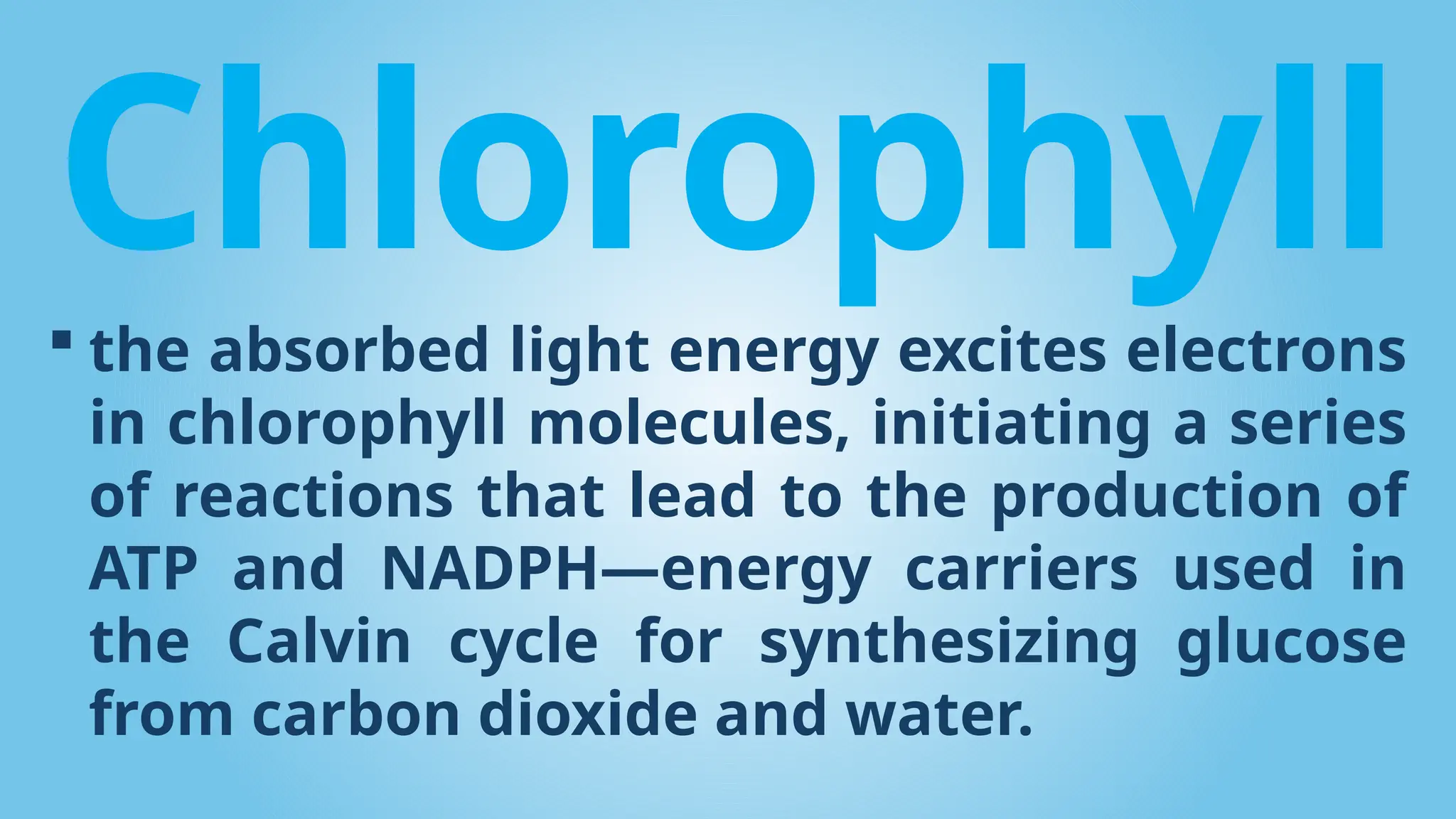 Chloroplasts (All the about Chloropyll). | PPTX