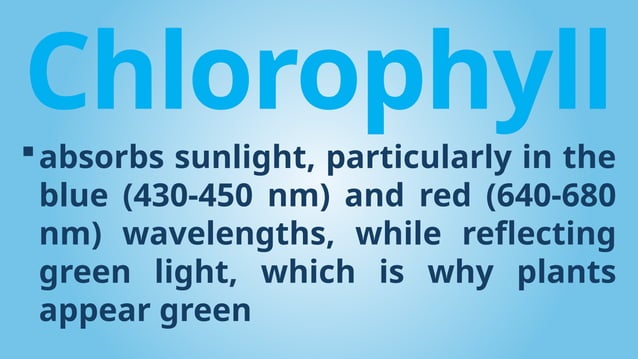 Chloroplasts (All the about Chloropyll). | PPTX
