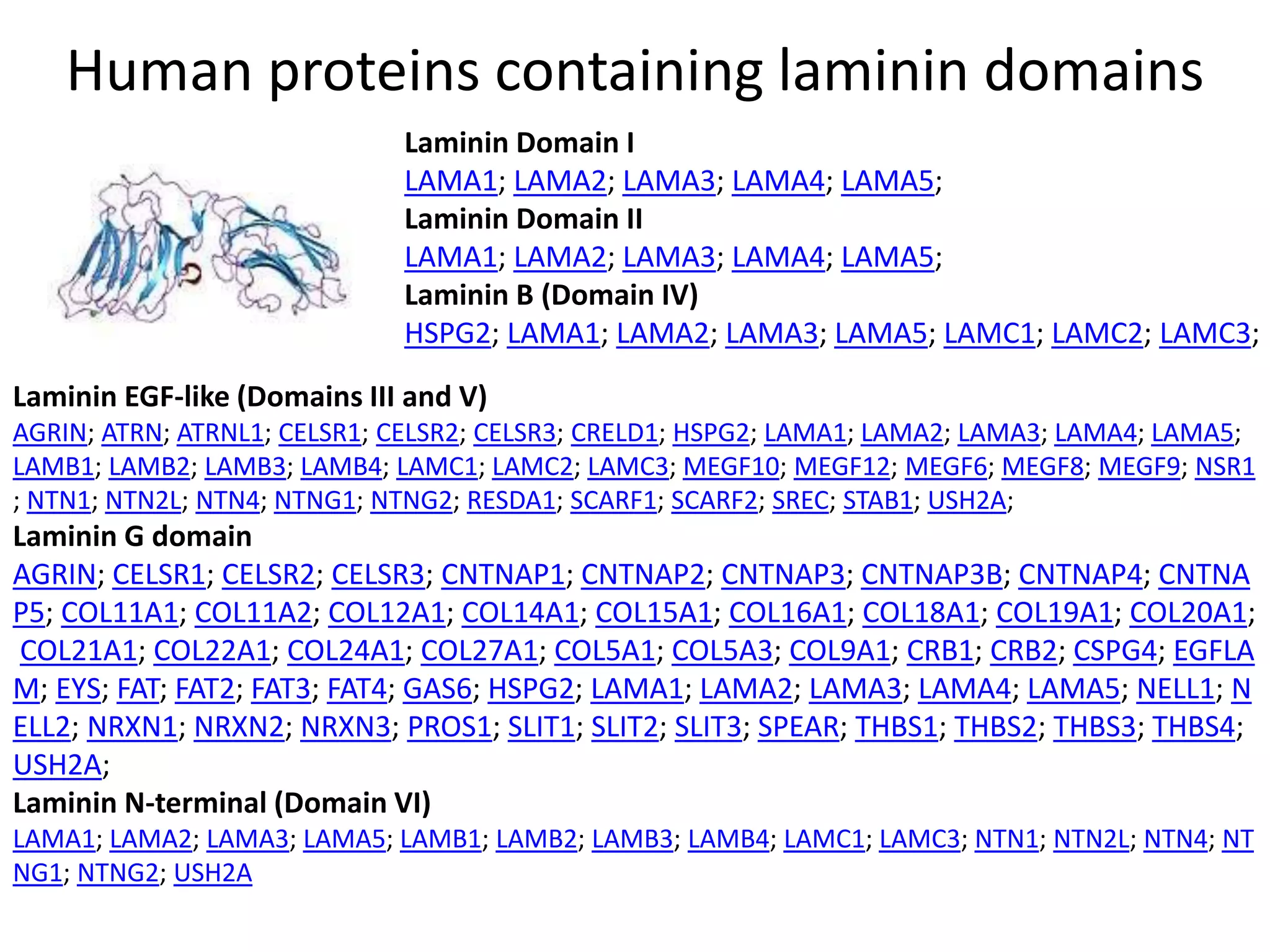 The Extracellular matrix | PPTX