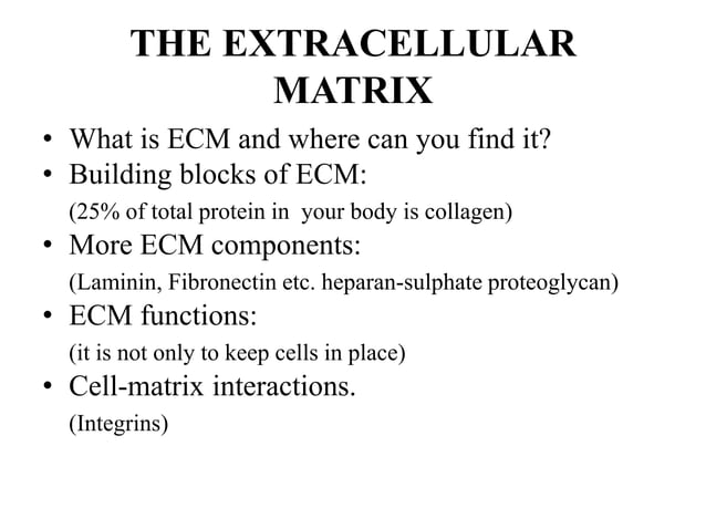 The Extracellular matrix | PPTX