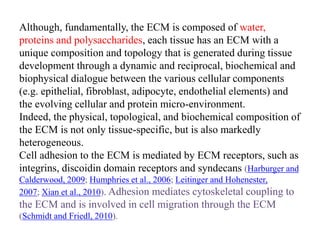 The Extracellular matrix | PPTX