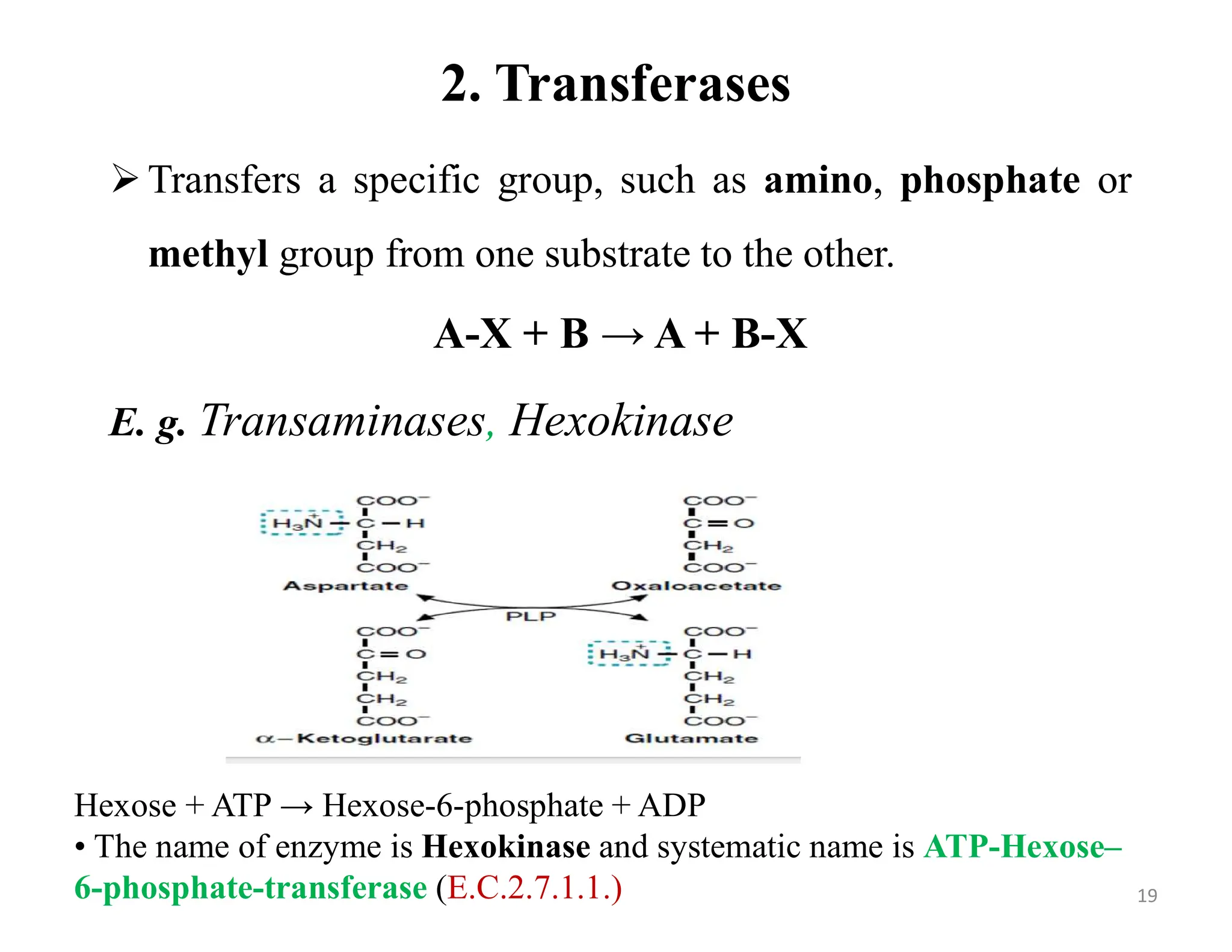 Biochm. Chapter.4.pdf drrrrrrrrrrerggddwww | PDF