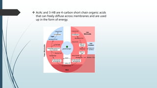 biochm ketons new.pptx