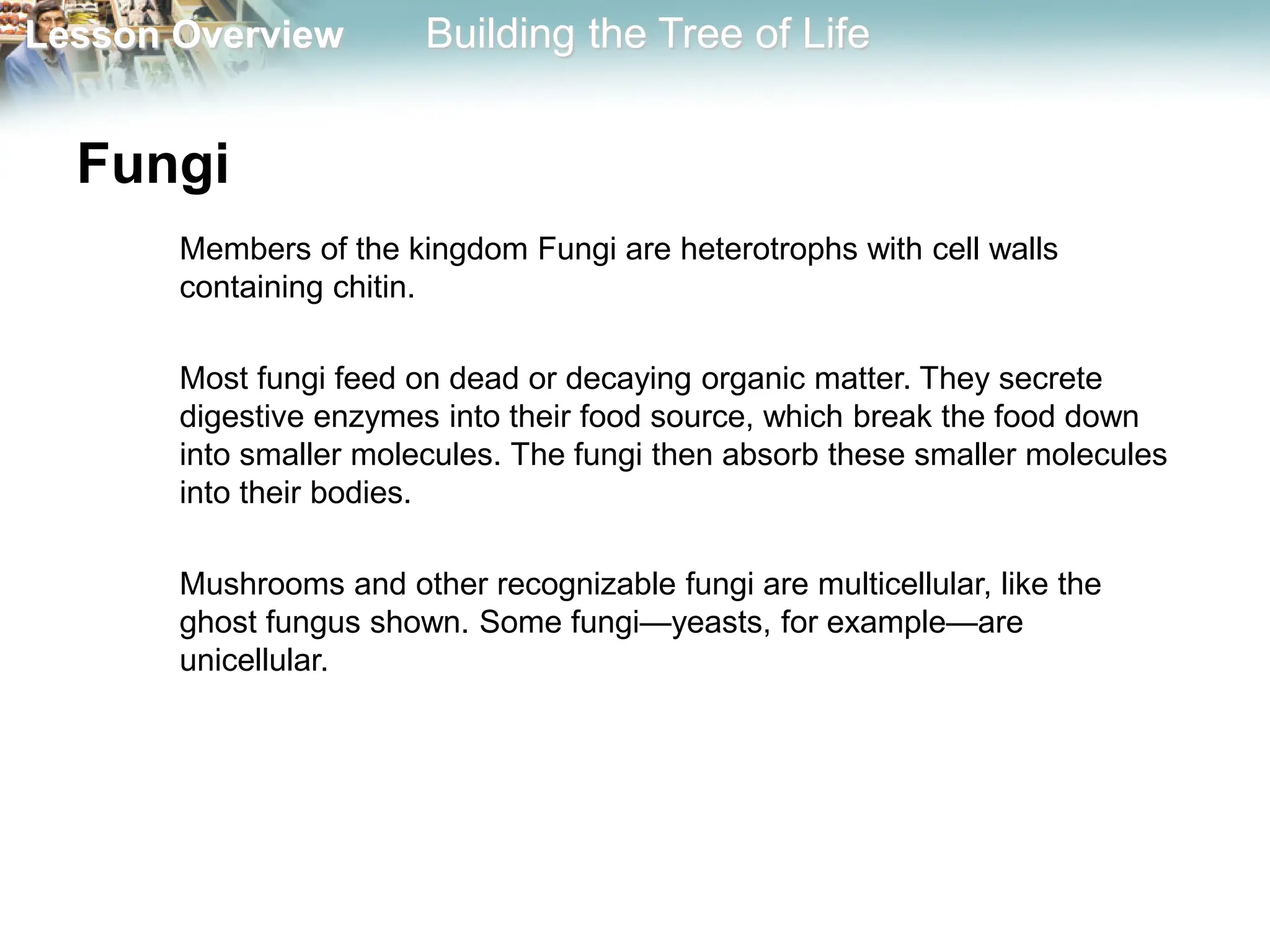 Building a tree of life biology grade 10 | PPT