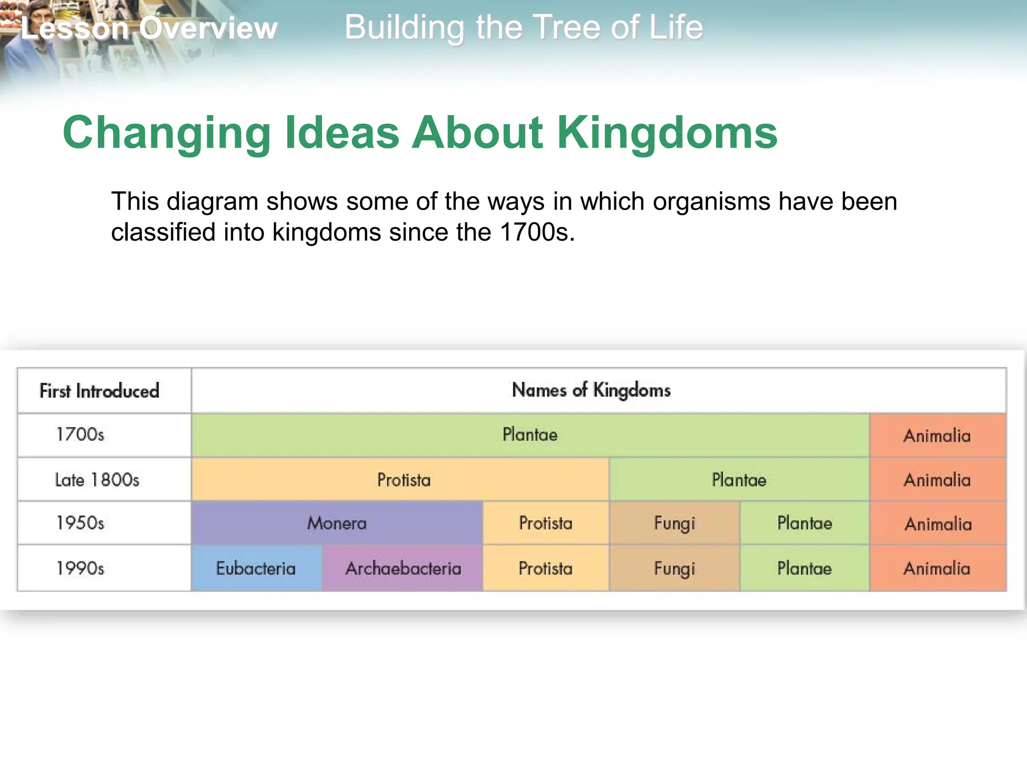 Building a tree of life biology grade 10 | PPT