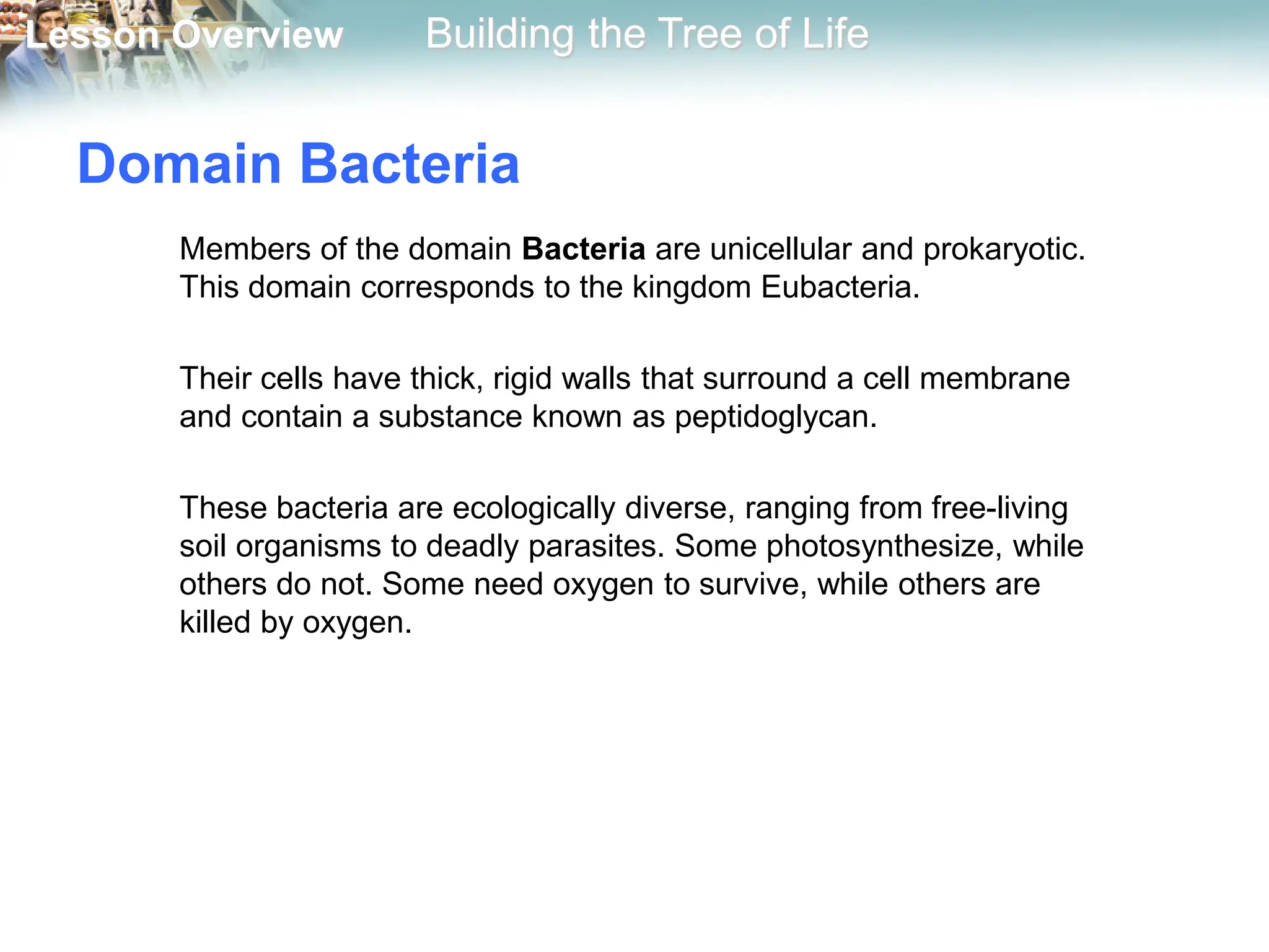 Building a tree of life biology grade 10 | PPT