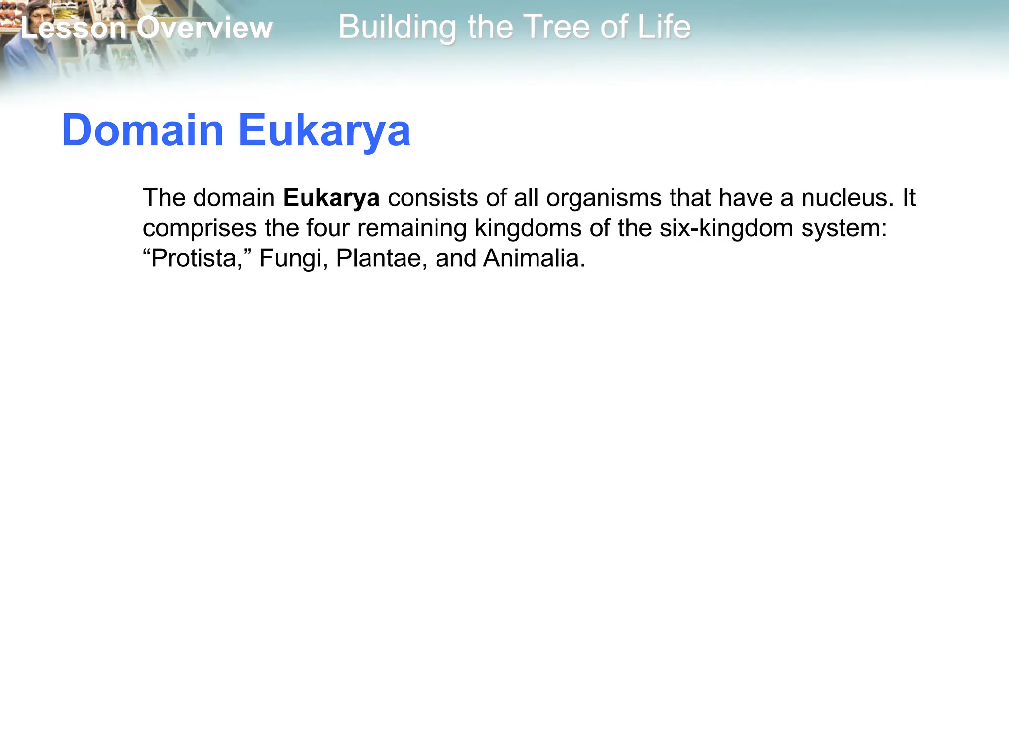 Building a tree of life biology grade 10 | PPT
