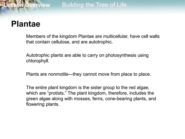 Building a tree of life biology grade 10 | PPT