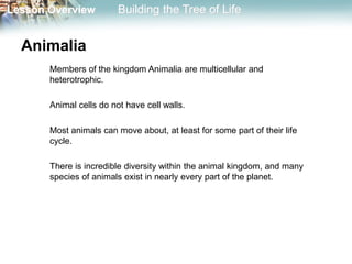 Building a tree of life biology grade 10 | PPT