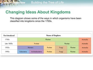 Building a tree of life biology grade 10 | PPT