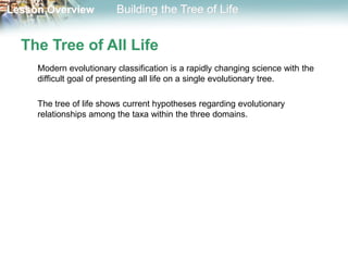 Building a tree of life biology grade 10 | PPT