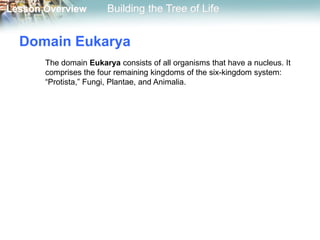 Building a tree of life biology grade 10 | PPT