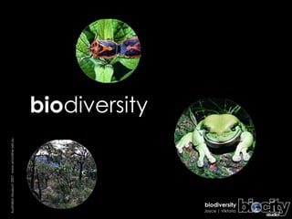 Sydney's Biodiversity Solutions | Biocity Studio | PPT | Biological ...