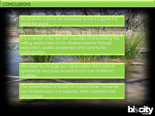 Biodiversity Gone | Biocity Studio | PPT