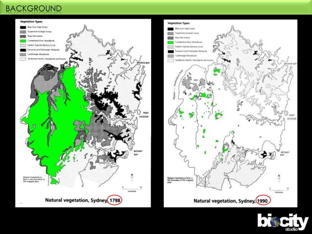 Biodiversity Gone | Biocity Studio | PPT