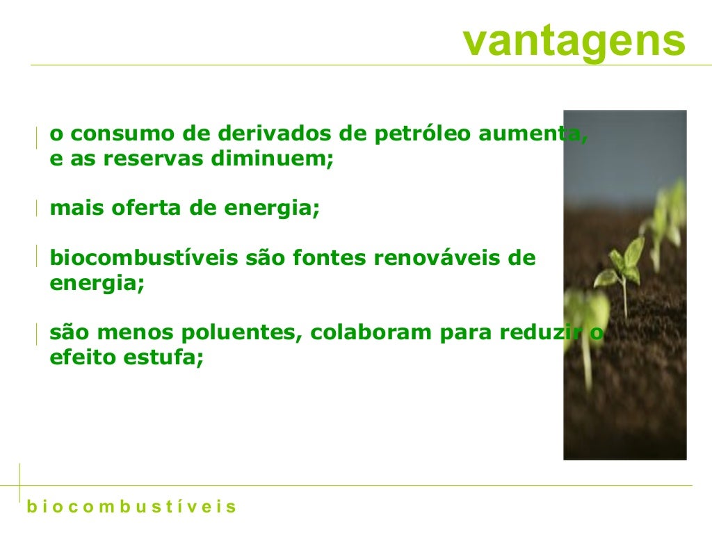 Vantagens E Desvantagens Do Biocombustível Vantagens E Desvantagens Do Biocombustível