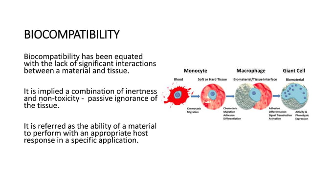 Biocompatibility | PPTX | Physics | Science