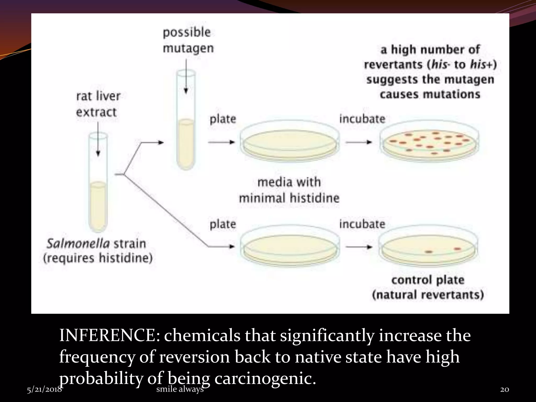 Biocompatibility tests | PPTX