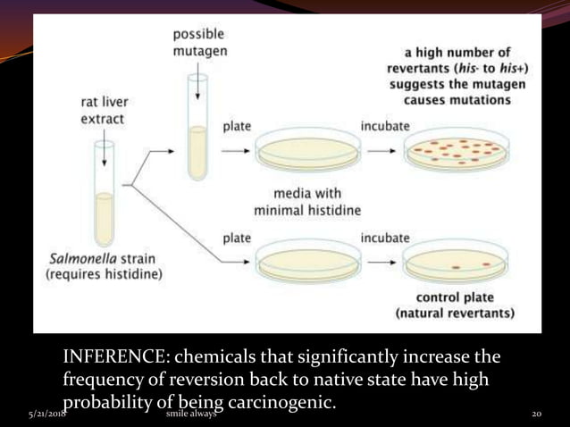 Biocompatibility tests | PPTX