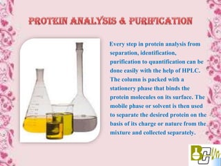 Biocompatible coating & protein analysis | PPTX | Chemistry | Science